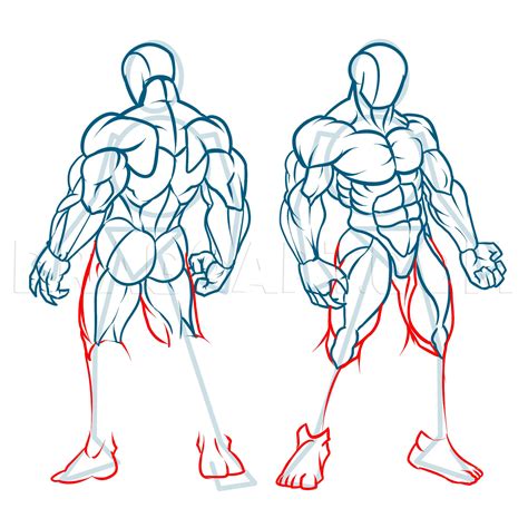 How To Draw Muscles Step By Step Drawing Guide By KingTutorial