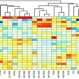 Heat Map Based On Hierarchical Clustering Of Normalized Variables Of
