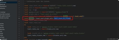 apisix插件开发之精细化限速插件 apisix限流 csdn博客