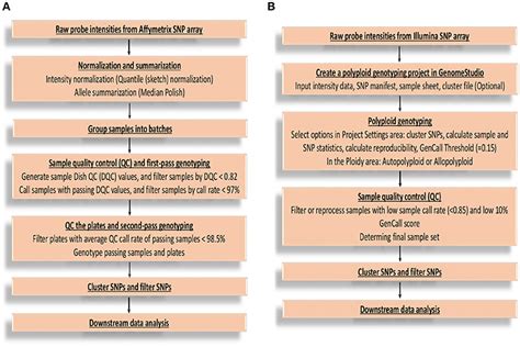 frontiers development and applications of a high throughput genotyping tool for polyploid
