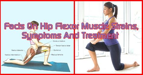 Facts On Hip Flexor Muscle Strains Symptoms And Treatment