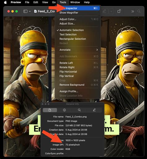 How To Increase Image DPI To 300 For Print 2024 LetsEnhance
