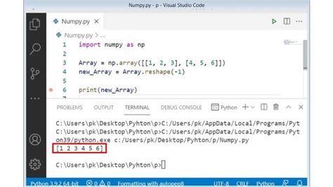 introduction to python numpy shape codingstreets