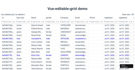 Demo Vue Editable Grid Forked Codesandbox
