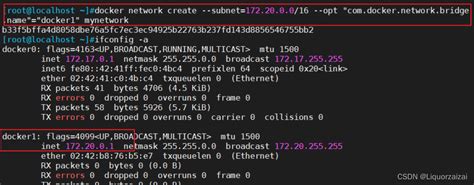 docker系列之网络模式 docker以桥接模式 csdn博客