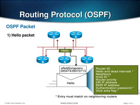 Ospf Protocol
