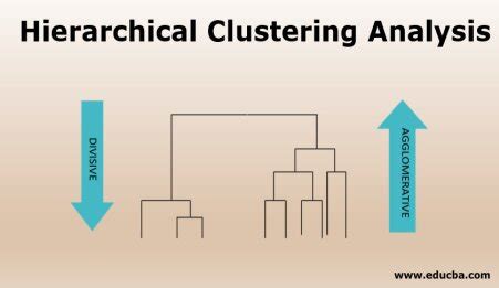 Understanding Hierarchical Clustering In Data Science Shiksha Online