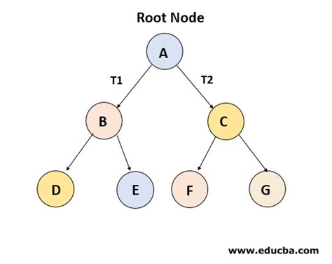types of trees in data structure know 6 types of trees in data structure