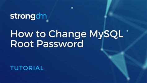 how to recover mysql root password windows plantforce21