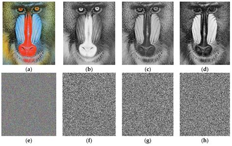 entropy free full text a new efficient digital image encryption based on inverse left almost