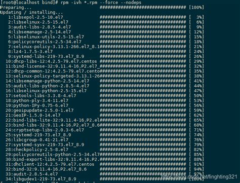 linux下dns服务器离线安装 bind utils离线安装 csdn博客