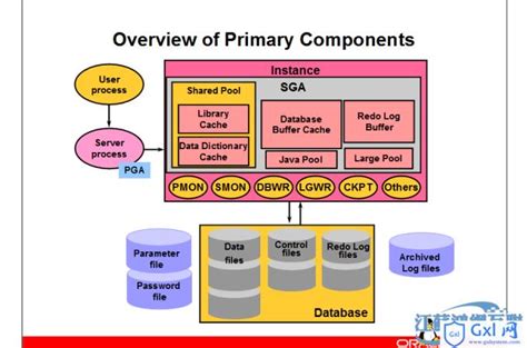 oracle 体系结构认识 oracle体系结构总体认识 csdn博客