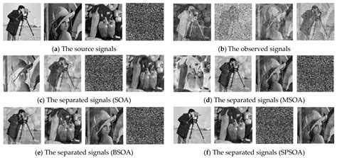 entropy free full text optimal performance and application for seagull optimization