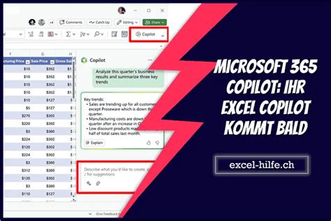 How To Enable New Copilot On Microsoft Excel Archives Excel Hilfe Ch