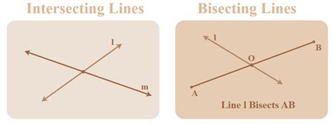 types of lines definition and examples