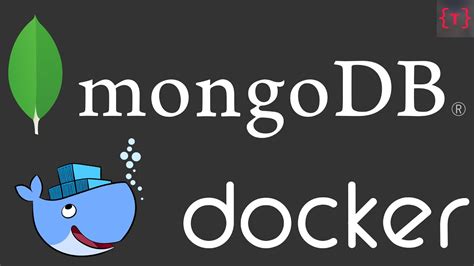 mongodb inside docker container youtube
