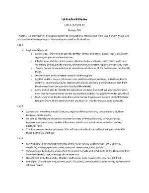Chapter 3 Workbook Cells And Tissues The Basic Unit Of Structure And