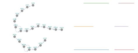 de bruijn graph algorithm