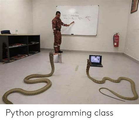 7 must have python plugins for intellij idea tabnine