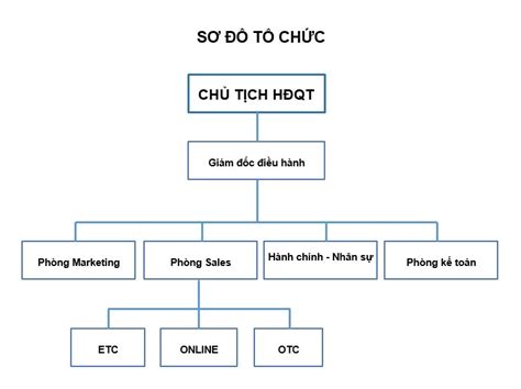 Nghệ thuật vẽ sơ đồ tổ chức online mô hình tổ chức công ty hiệu quả