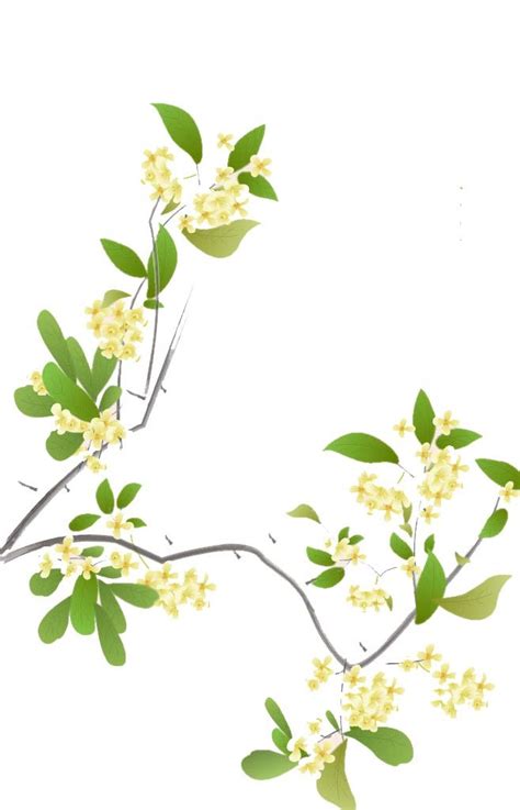 手绘素材桂花枝 图品汇