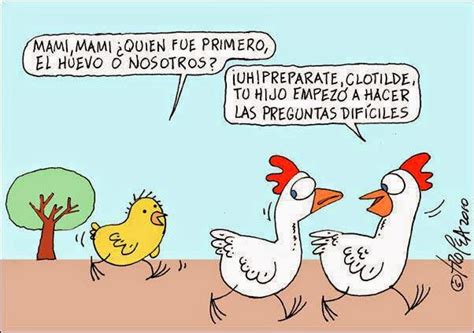 Frases Y Chistes Chistes De Pollitos