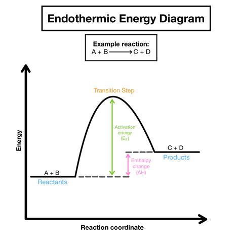 Reaction Coordinate Diagram Labeled