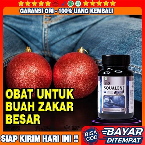 Jual Obat Buah Zakar Besar Buah Zakar Bengkak Buah Zakar Terasa Nyeri Untuk Buah Zakar