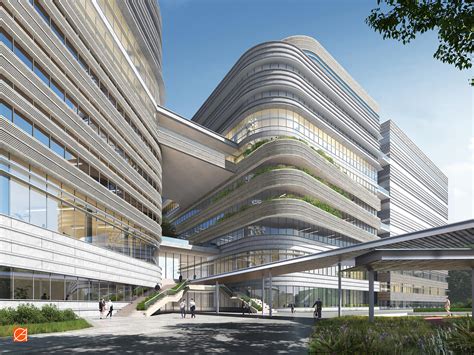 南方科技大学医学院及附属医院 地建师 聚行业精英 錾设计之美