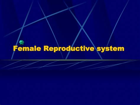 Ppt Female Reproductive System Powerpoint Presentation Free Download Id2425066