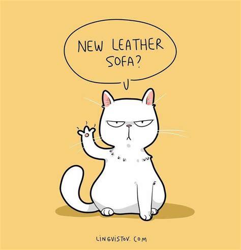 40 Funny Doodles For Cat Lovers And Your Cat Crazy Lady Friend Artofit