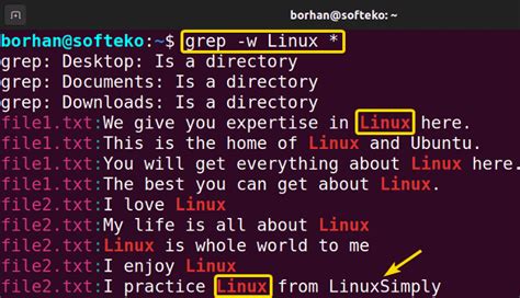 the “grep” command in linux [10 practical examples]