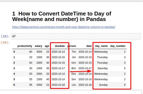 How To Convert DateTime To Day Of Week Name And Number In Pandas