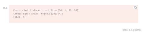 pytorch的dataset和dataloader详细使用教程 dataloader教程 csdn博客