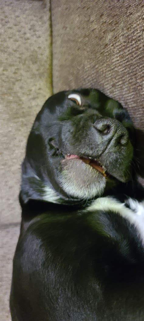 She Just Wants To Play Derpy Style Lol 9GAG