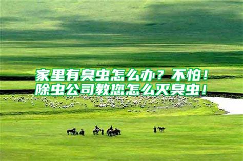 家里有臭虫怎么办不怕除虫公司教您怎么灭臭虫 臭虫防治 除四害消杀灭虫网