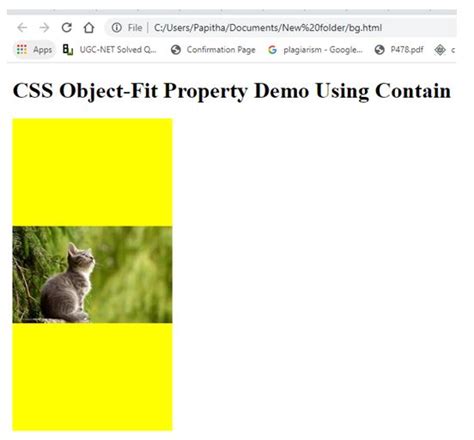 Css Object Fit How Object Fit Property Works In Css With Examples