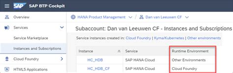 Executing SAP HANA Cloud Tasks From The Command Line SAP Tutorials