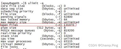 nginx too many open files 报错解决办法 too many open files in system csdn博客