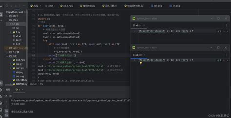 python作业2 csdn博客