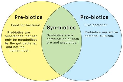 Prebiotics Vs Probiotics Differences Benefits And Foods Probiotics Hot Sex Picture