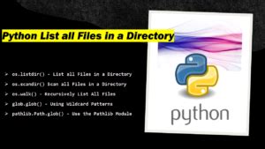 Python List All Files In A Directory Spark By Examples