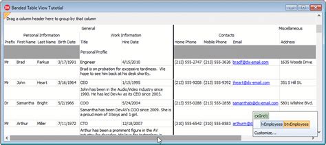 Banded Table View Tutorial Step 3 Adjust Bands VCL DevExpress