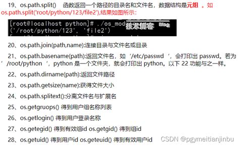 python：os的用法 osytp csdn博客