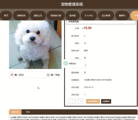 vue springboot宠物用品商城管理系统宠物领养寄养 基于sprint boot和vue的宠物管理系统英文文献 csdn博客