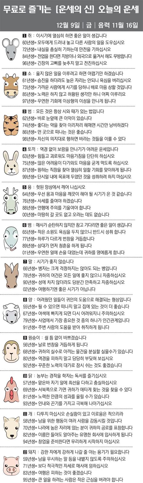 직장인을 위한 오늘의 운세 2022년 12월 9일 금요일 오늘의 띠별 운세 음력 11월 16일 네이트 뉴스