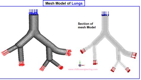basics of cfd modeling for beginners · cfd flow engineering