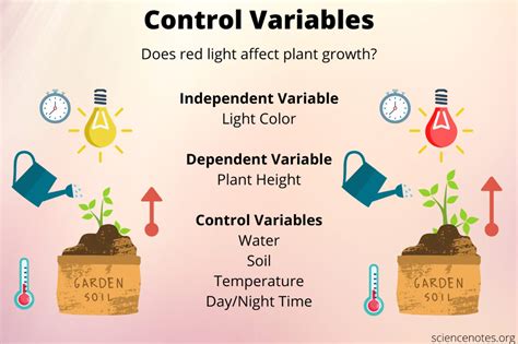 what is a control variable definition and examples control variable variables hypothesis
