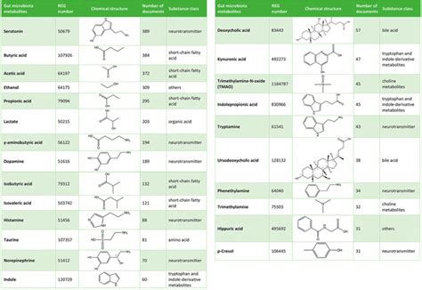 Gut Microbiomebrain Alliance A Landscape View Into Mental And Gastrointestinal Health And