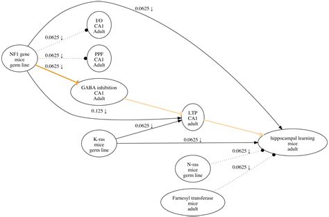 ResearchMaps